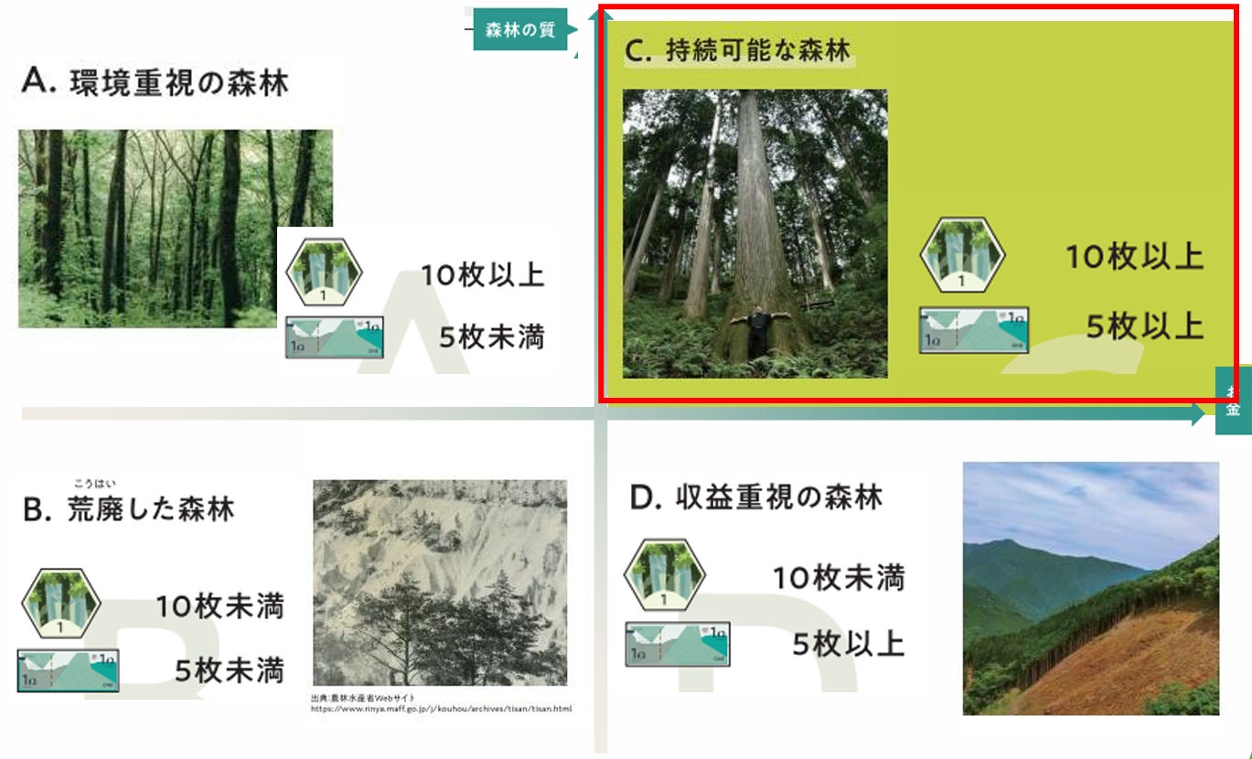 林業ボードゲーム「FOREST BALANCE GAME」の魅力に迫る！｜林業の求人サイトRINDO｜林業界への転職・就職を支援