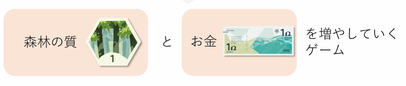 林業ボードゲーム「FOREST BALANCE GAME」の魅力に迫る！｜林業の求人サイトRINDO｜林業界への転職・就職を支援